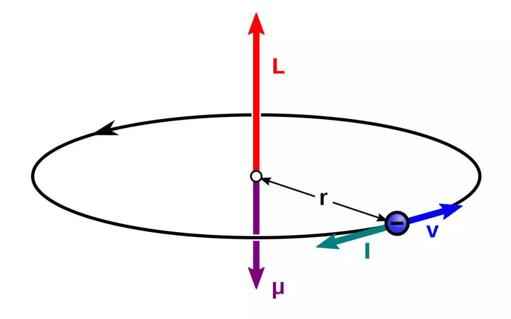 Torque Experienced By The Current-carrying Loop In A Uniform Magnetic ...
