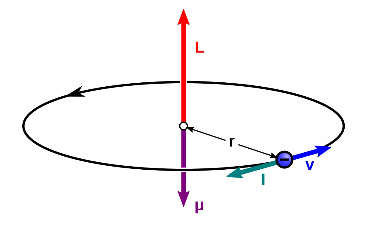 The Magnetic Moment In Terms Of Angular Momentum - Laws Of Nature